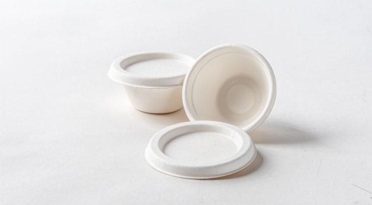 Sugarcane Bagasse Cups Manufacturer｜GXflight